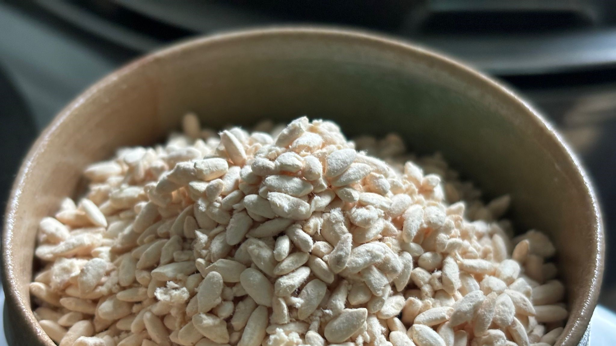 Food HubMicrobe-Joy Workshop ::Green Hub